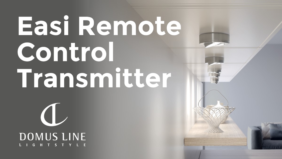 Easi Remote Control Transmitter - International competition | CFP