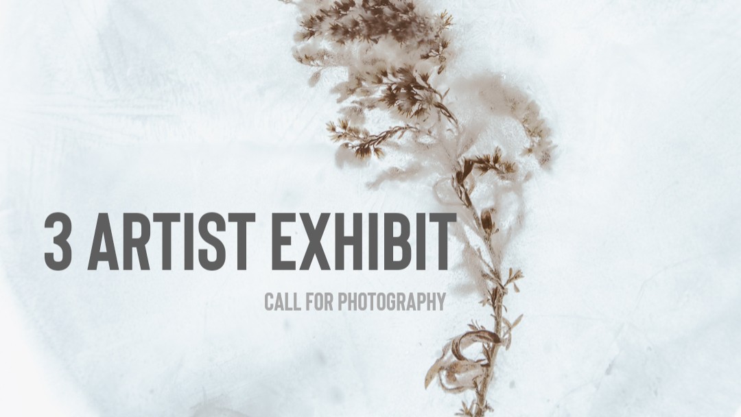 Three Artist Exhibit | CFP